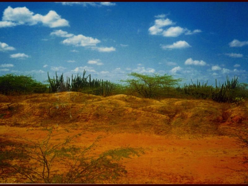 Leyenda de Talawayüupana | Secretaría de Cultura, Recreación y Deporte