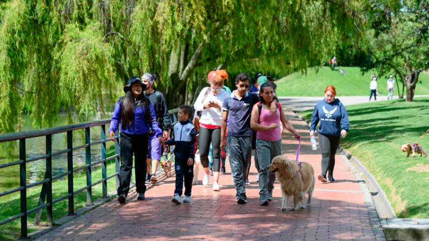 Caminata Parque El Lago-Parque de los Novios