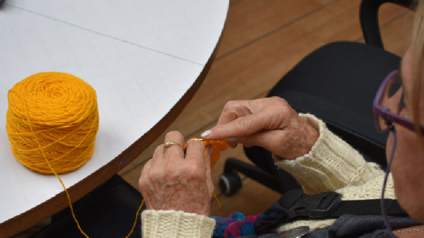 Tejiendo raíces en la Biblioteca Pública El Mirador,